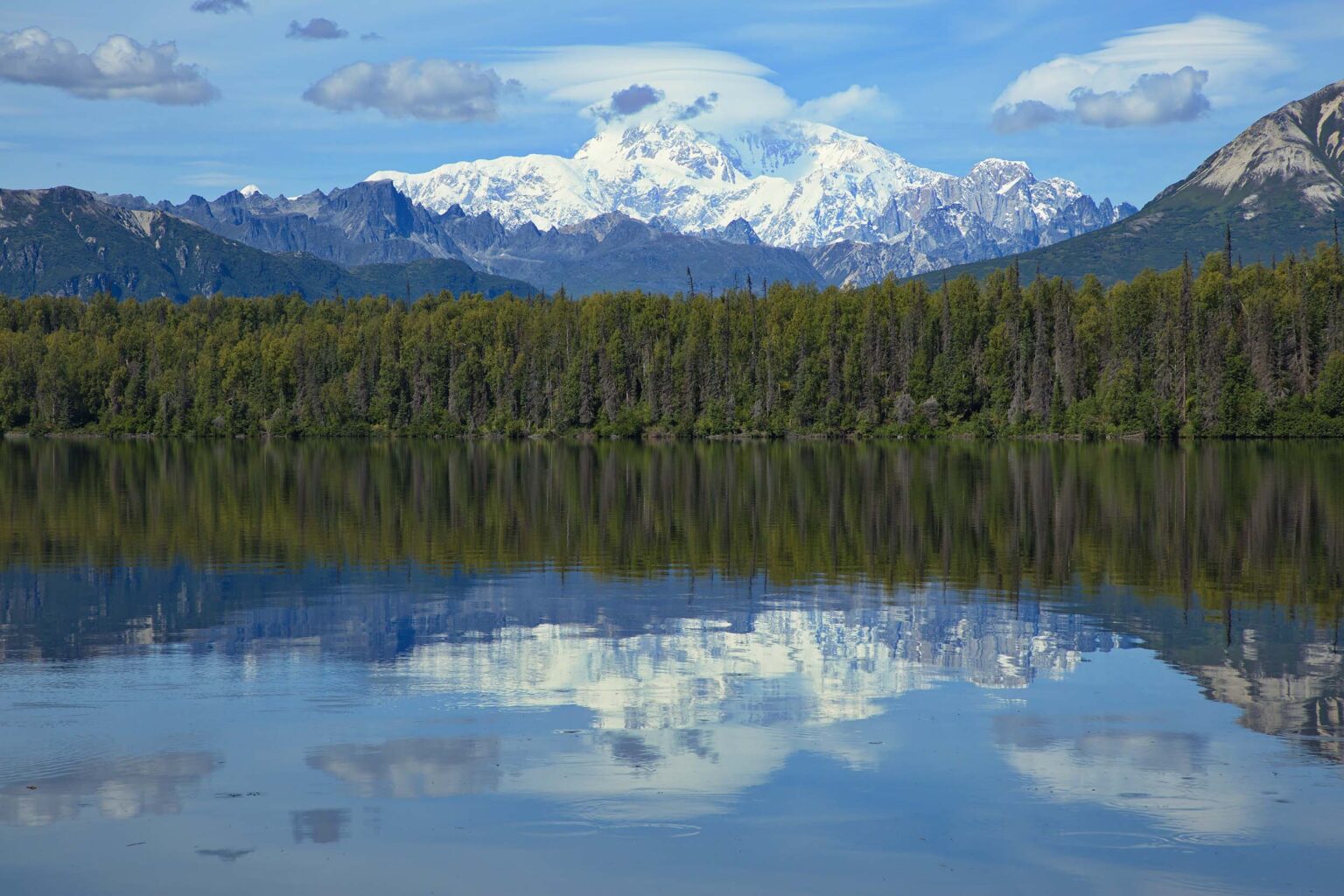 Denali National Park - Wild Wanderers Almanac