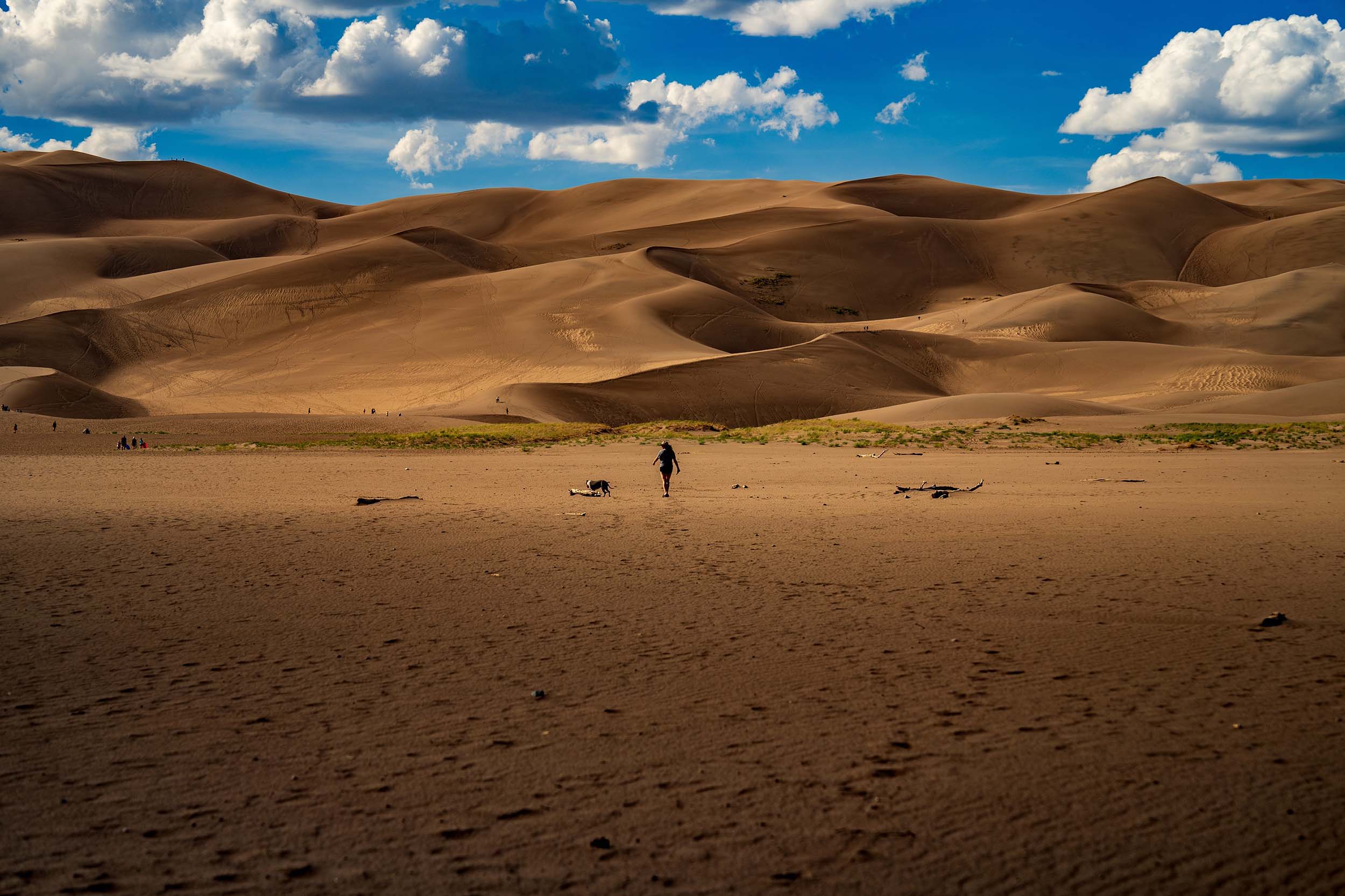 Desert National Parks - Wild Wanderers